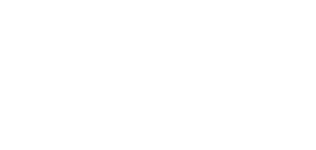 SmartLink - all-in-one logistics platform